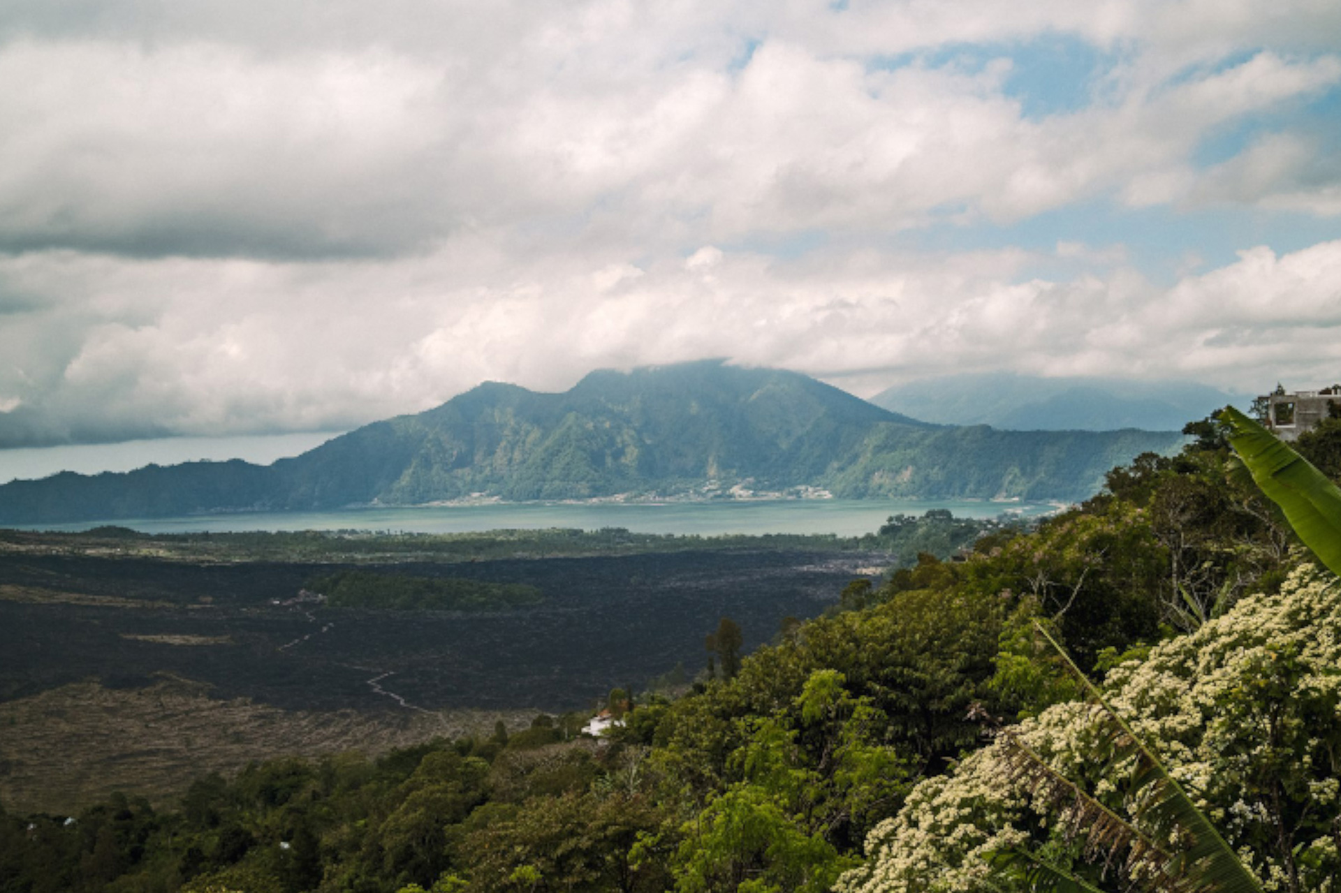 Mikael Jasin and the Future of Indonesian Coffee – Sprudge Special ...